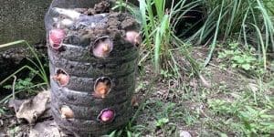 How To Make Your Own Vertical Onion Planter - Self Sufficient Projects