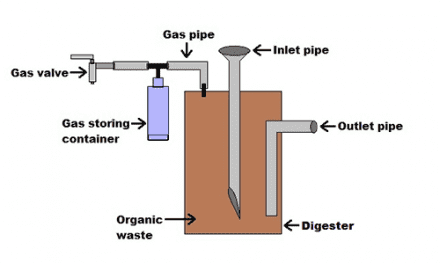 How To Make Bio Fuel At Home From Leaves And Manure - Self Sufficient ...