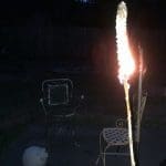 An Emergency Slush Lamp Hack Using a Torch Plant Leaf - Self Sufficient ...