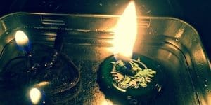 An Emergency Slush Lamp Hack Using a Torch Plant Leaf - Self Sufficient ...