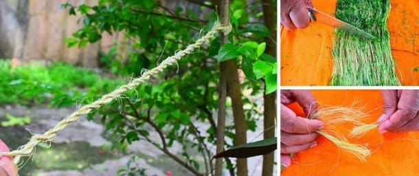 DIY Rope From Most Common Plants - Self Sufficient Projects
