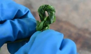 DIY Rope From Most Common Plants - Self Sufficient Projects