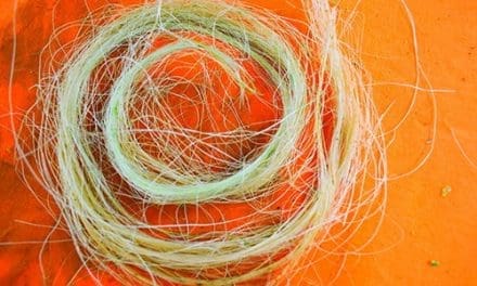 DIY Rope From Most Common Plants - Self Sufficient Projects