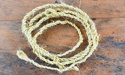 DIY Rope From Most Common Plants - Self Sufficient Projects