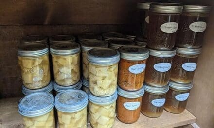 Canning VS. Freeze Dry - Self Sufficient Projects