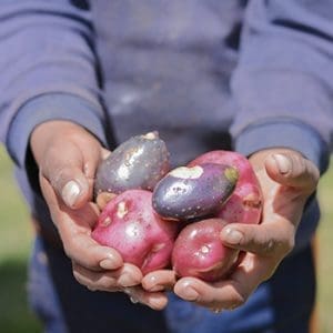 Native American Skills for the Modern Homesteader - Self Sufficient ...