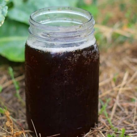 DIY Compost Tea - Self Sufficient Projects