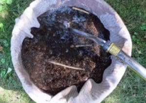 DIY Compost Tea - Self Sufficient Projects
