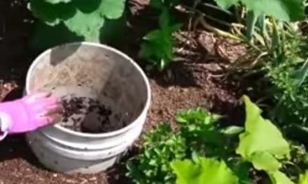 DIY Worm Compost Tower - Self Sufficient Projects