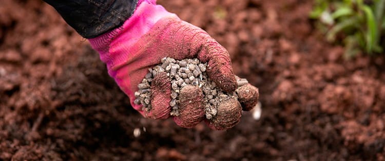 What Happens If You Bury These In Your Garden - Self Sufficient Projects