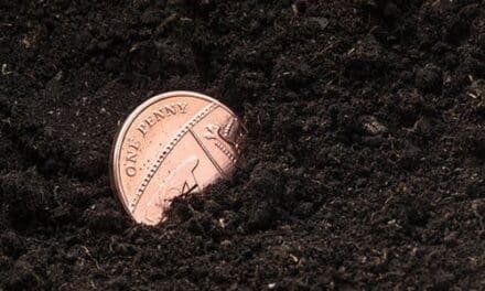 What Happens If You Bury A Penny Next To Your Plants - Self Sufficient ...