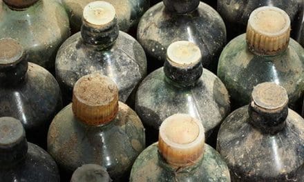 Why You Should Bury Glass Bottles In Your Garden - Self Sufficient Projects