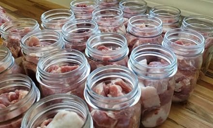 Pig In A Jar - Self Sufficient Projects