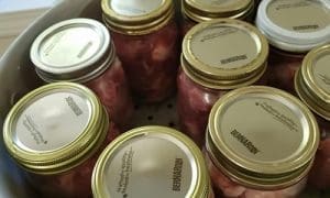 Pig In A Jar - Self Sufficient Projects