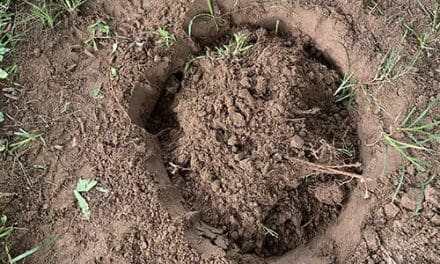 Why You Should Bury A Trash Can In Your Backyard - Self Sufficient Projects