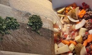 Canning $5 Amish Stew - Self Sufficient Projects