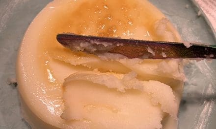 How To Make Long-Lasting Tallow For Survival