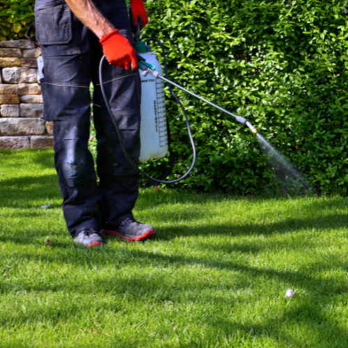 Dangerous Household Items You Should Get Rid Of - Self Sufficient Projects