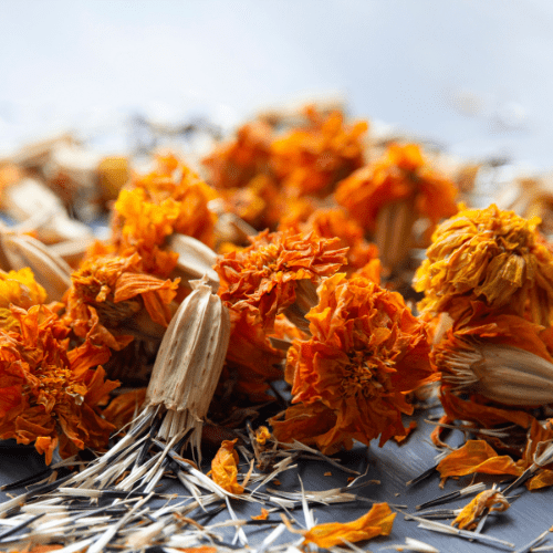 Marigold 101 - Self Sufficient Projects