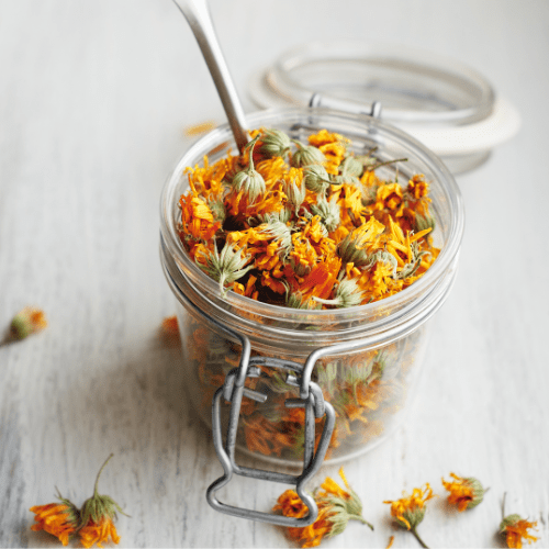 Marigold 101 - Self Sufficient Projects