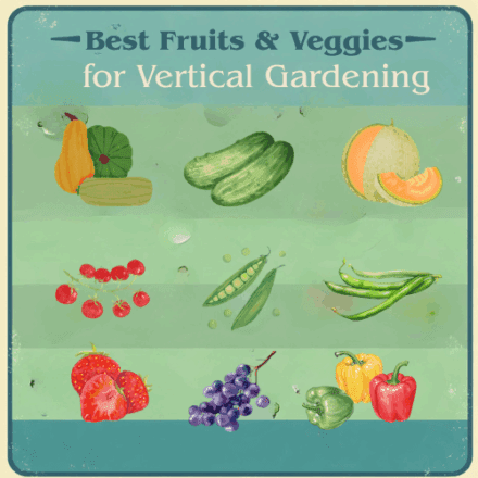 DIY “Endless Food Machines” - Self Sufficient Projects