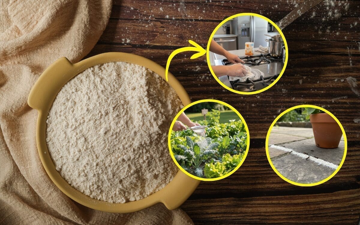 10 Ingenious Uses for Flour Around Your Home - Self Sufficient Projects