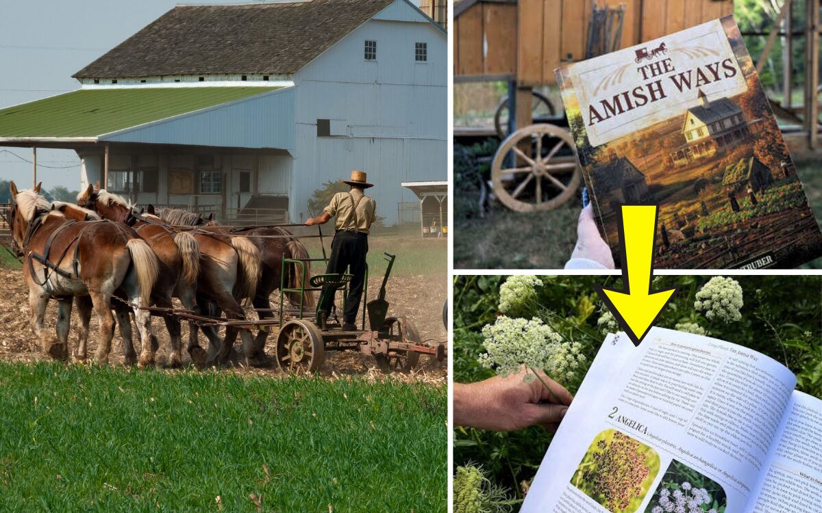 The Amish Ways: Book Review - Self Sufficient Projects